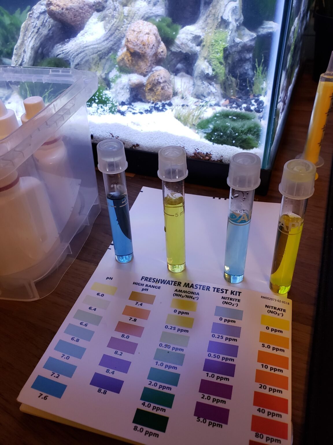 Why Is Ph High In Aquarium: Causes And Fixes - Aquarium Tales