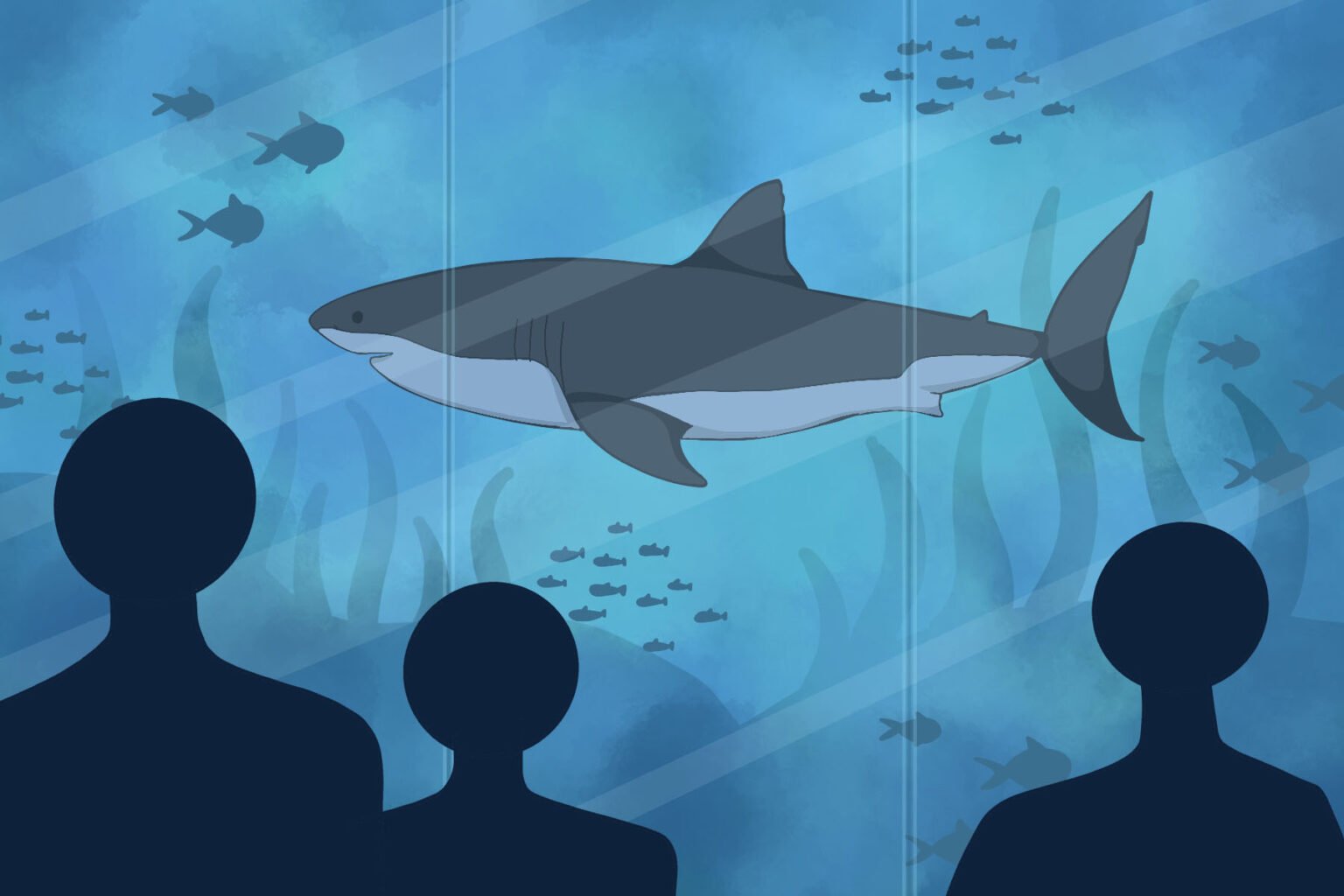 Why No Great White Shark In Aquarium: The Shocking Truth - Aquarium Tales