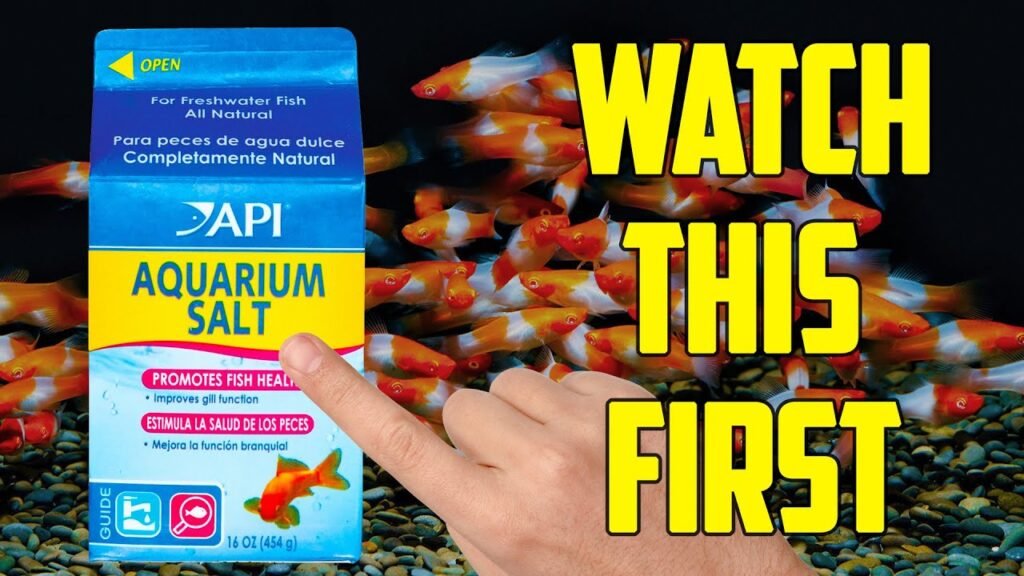 Salt In Aquarium: Essential Guide For Healthier Fish - Aquarium Tales